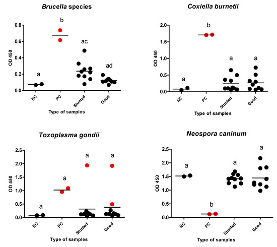 Animals | Free Full-Text | Evaluation of Clinical and Biochemical ...