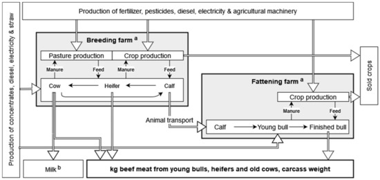 Exploring Rotational Grazing and Crossbreeding as Options for Beef ...