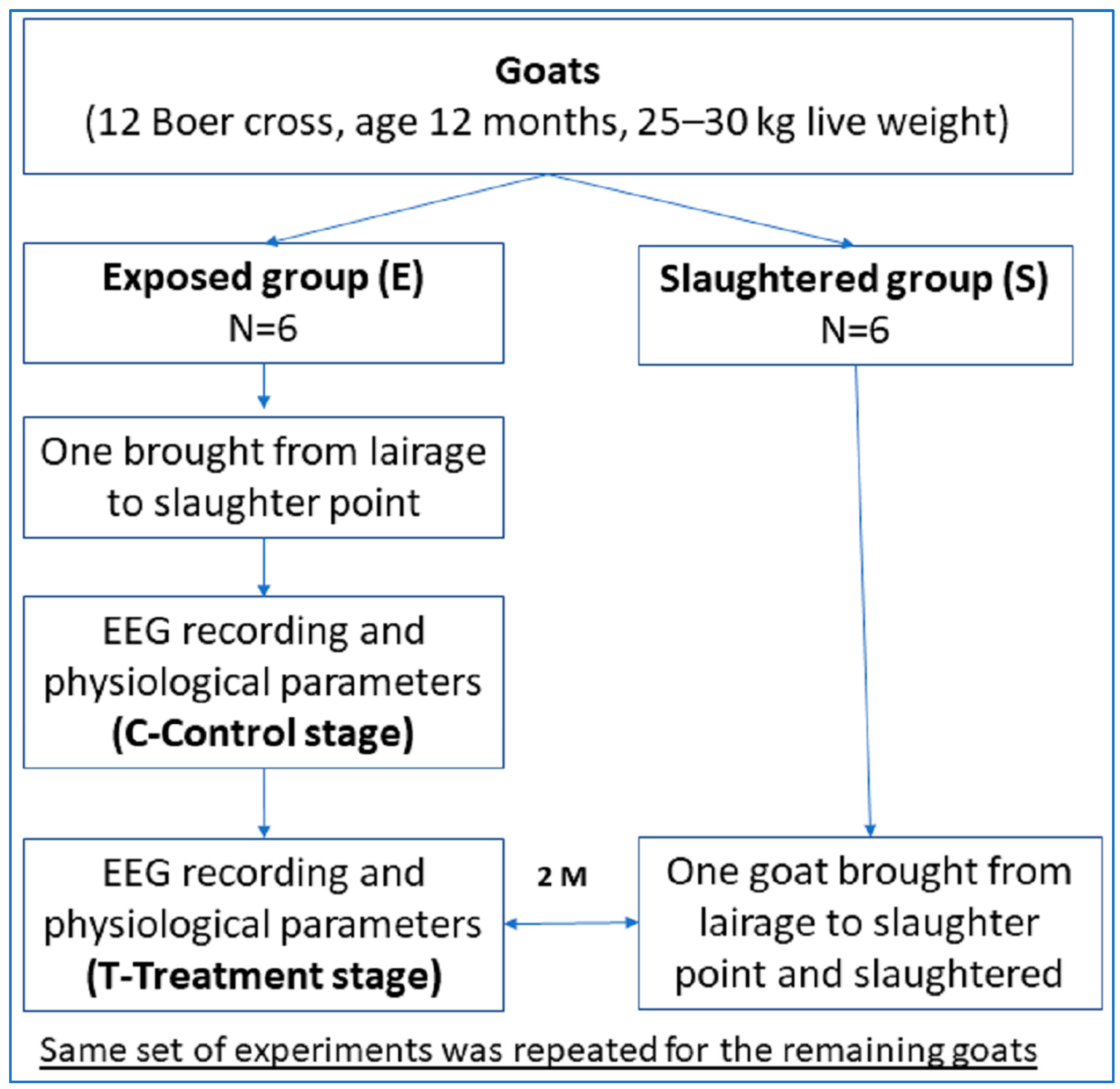 Electroencephalogram and Physiological Responses as Affected by ...