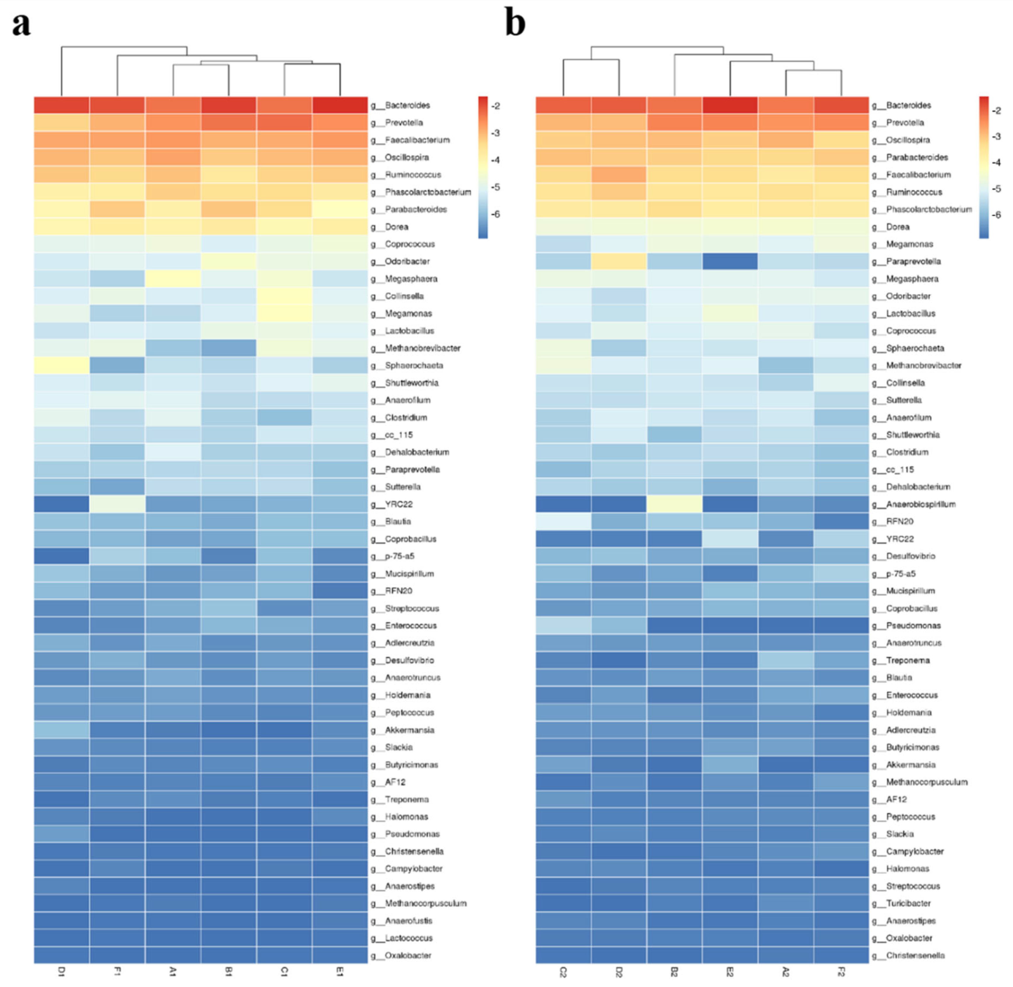 Animals | Free Full-Text | Moringa oleifera Leaf Powder as New Source ...