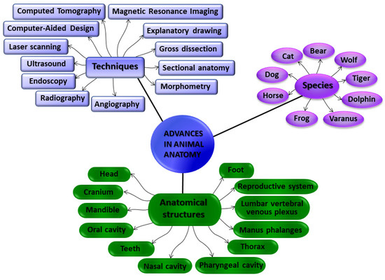Advances in Animal Anatomy