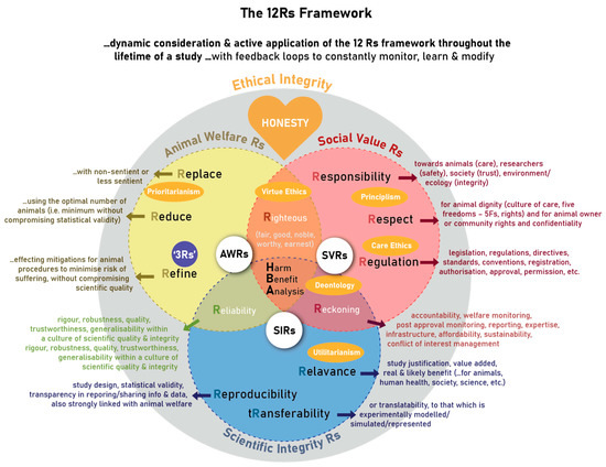 The 12 Rs Framework as a Comprehensive, Unifying Construct for ...