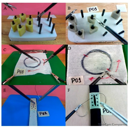 Implementation of a Canine Ergonomic Abdominal Simulator for Training ...