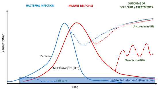 Early Milk Total and Differential Cell Counts as a Diagnostic Tool to ...