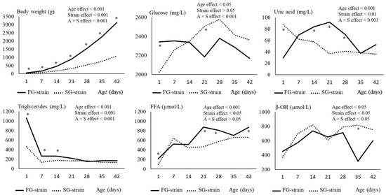 Animals | Free Full-Text | Slow and Fast-Growing Chickens Use Different ...