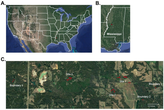 Animals | Free Full-Text | Identifying Potential Super-Spreaders and ...