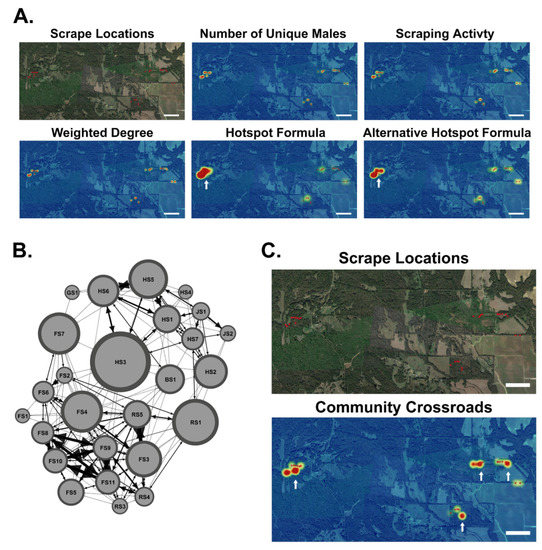 Animals | Free Full-Text | Identifying Potential Super-Spreaders and ...