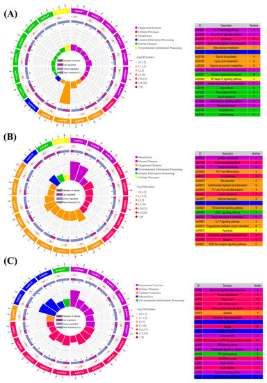 Transcriptome Analysis Reveals the Immunoregulation of Replacing ...