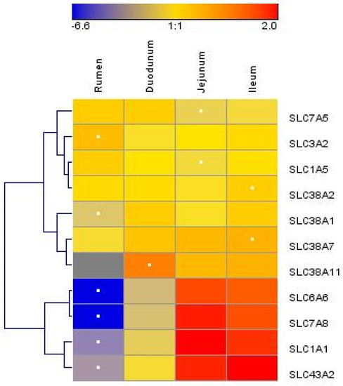 Animals | Free Full-Text | Abundance of Amino Acid Transporters and ...