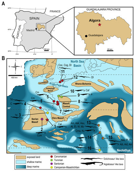 A New Species of the Pythonomorph Carentonosaurus from the Cenomanian ...