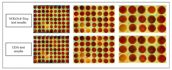 Evaluation of Duck Egg Hatching Characteristics with a Lightweight ...