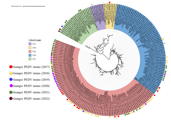 Animals | Free Full-Text | Phylogenetic and Spatiotemporal Analyses of ...