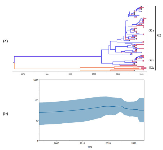 Animals | Free Full-Text | Phylogenetic and Spatiotemporal Analyses of ...