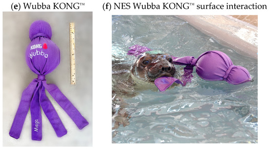 Environmental Enrichment Devices Are Safe and Effective at Reducing ...