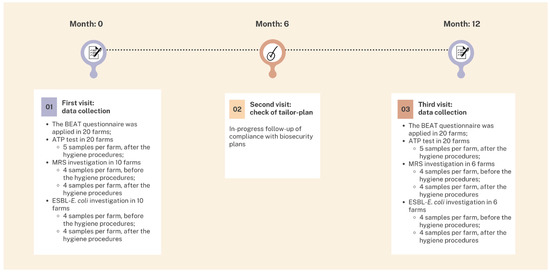 Biosecurity and Hygiene Procedures in Pig Farms: Effects of a Tailor ...