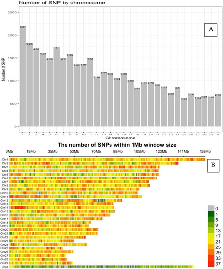 Genomic Prediction Accuracies for Growth and Carcass Traits in a ...