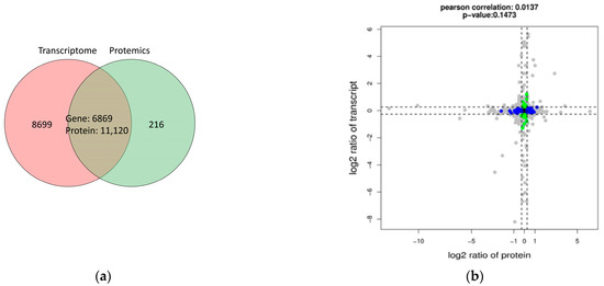 Transcriptomic and Proteomic Analyses Reveal New Insights into ...