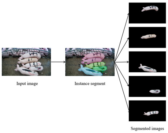 A Pig Mass Estimation Model Based on Deep Learning without Constraint