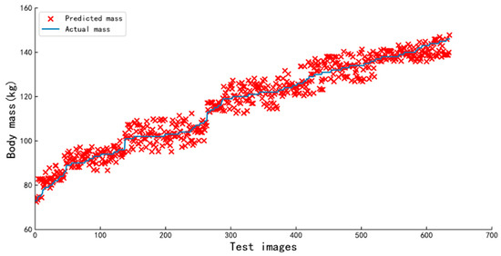 A Pig Mass Estimation Model Based on Deep Learning without Constraint