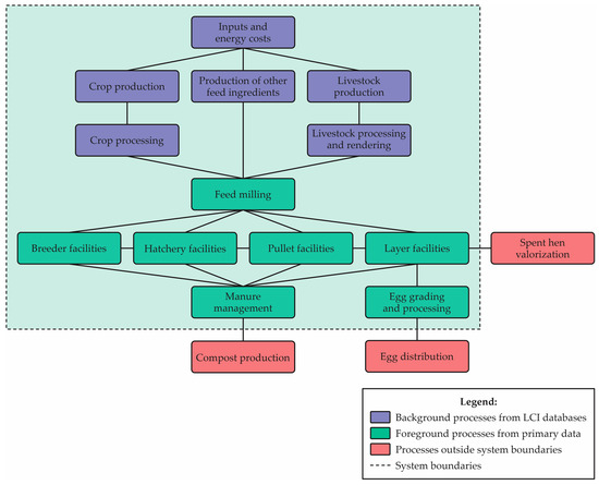 Life Cycle Assessment Project for the Brazilian Egg Industry