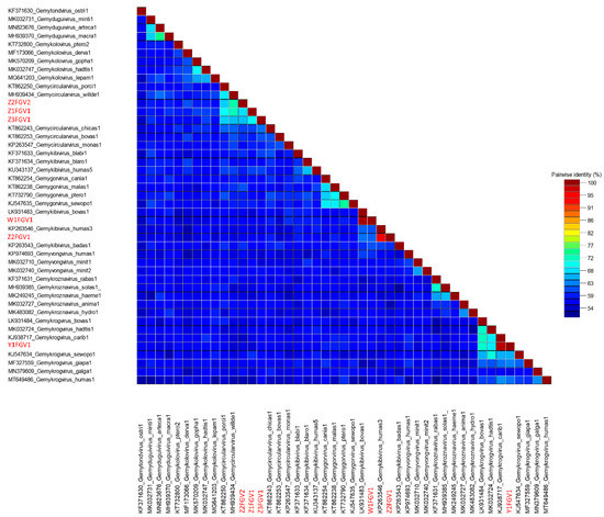Animals | Free Full-Text | First Insights into the Occurrence of ...
