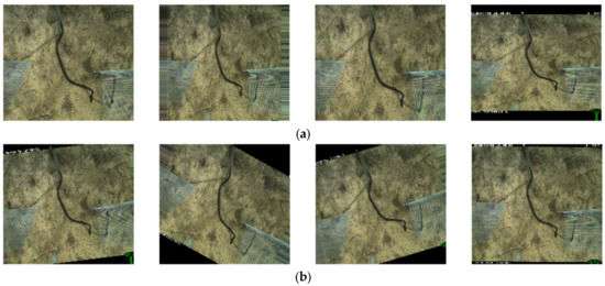 Animal Species Recognition with Deep Convolutional Neural Networks from ...