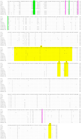 Genomic Characterizations of Porcine Epidemic Diarrhea Viruses (PEDV ...