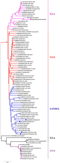 Genomic Characterizations of Porcine Epidemic Diarrhea Viruses (PEDV ...