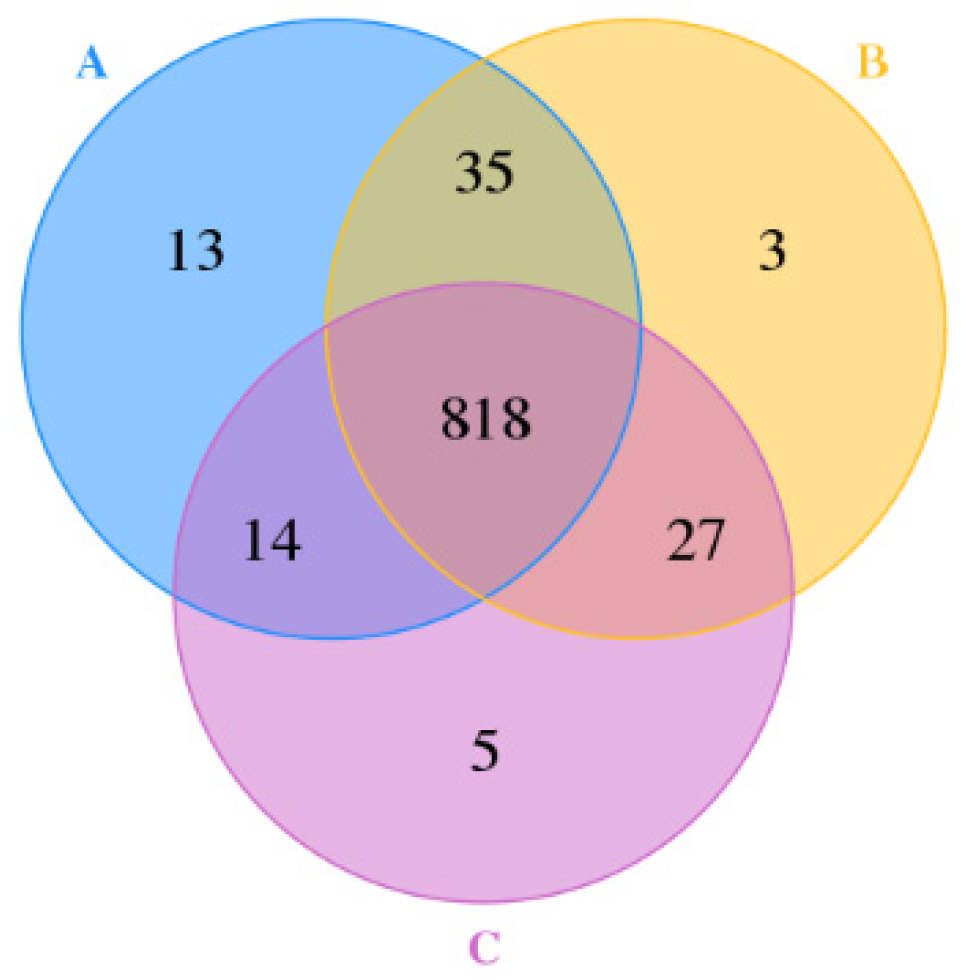 Animals | Free Full-Text | The Effect of Dietary Supplementation with ...