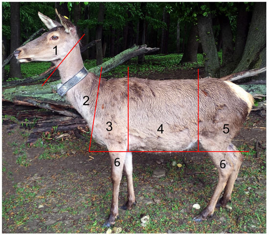 The Influence of Photoperiod, Intake of Polyunsaturated Fatty Acids ...