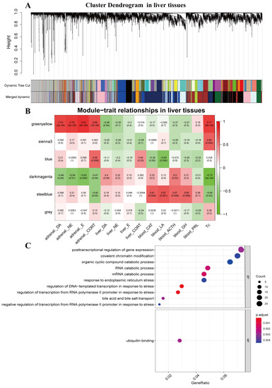 Identification of Key Genes Associated with Heat Stress in Rats by ...