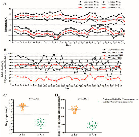 Effects of Long-Term Cold Stress on Growth Performance, Behavior ...