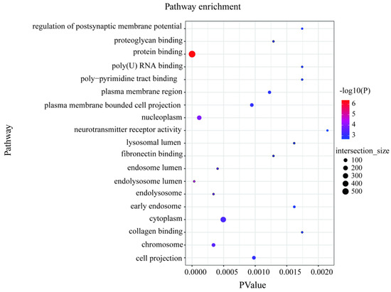 Genome-Wide Signal Selection Analysis Revealing Genes Potentially ...