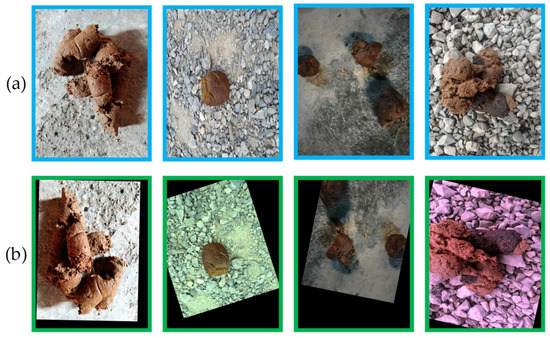 A Fine-Grained Image Classification Approach for Dog Feces Using MC ...