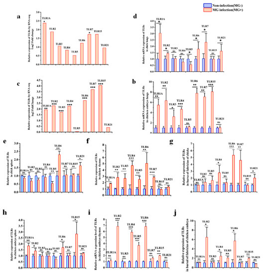 Comparative Transcriptome Analysis Reveals the Innate Immune Response ...