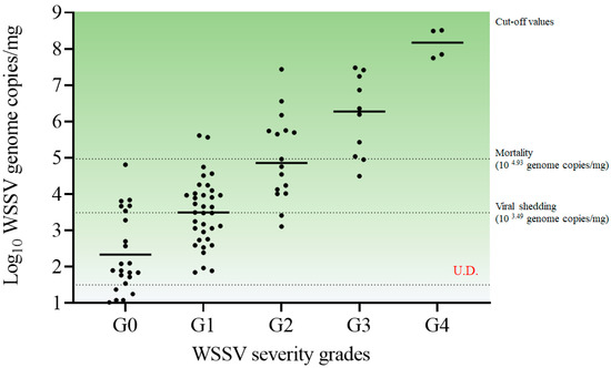 Evaluation of the Horizontal Transmission of White Spot Syndrome Virus ...