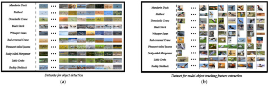 An Efficient Method for Monitoring Birds Based on Object Detection and ...