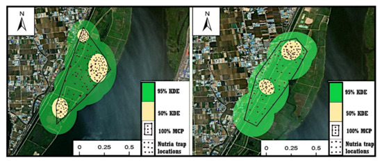 Animals | Free Full-Text | Radio Tracking Reveals the Home Range and ...