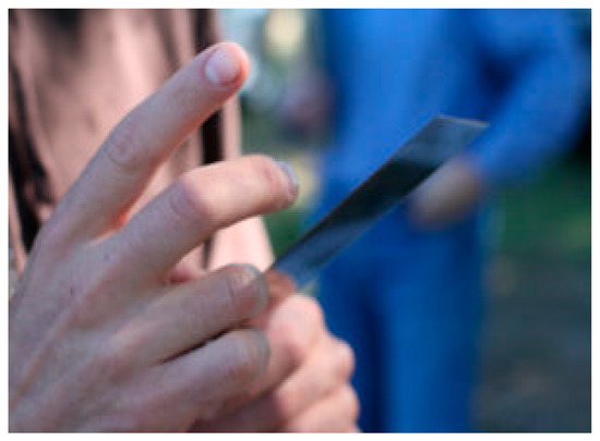 Importance of Knife Sharpness during Slaughter: Shariah and Kosher ...