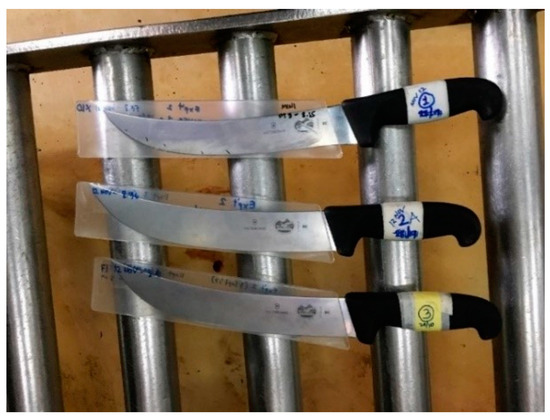 Importance of Knife Sharpness during Slaughter: Shariah and Kosher ...