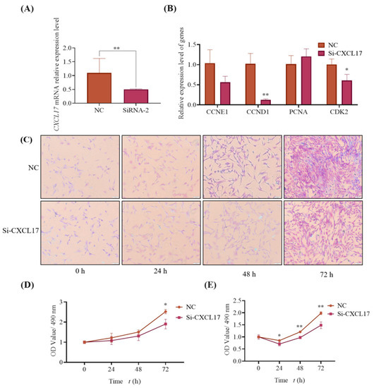 Effect of CXCL17 on Subcutaneous Preadipocytes Proliferation in Goats