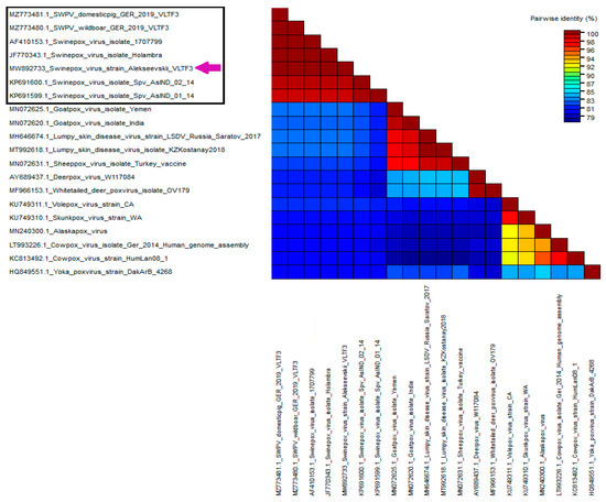 Animals | Free Full-Text | Isolation and Characterization of Swinepox ...
