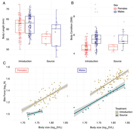 The Evolution of Diet and Morphology in Insular Lizards: Insights from ...