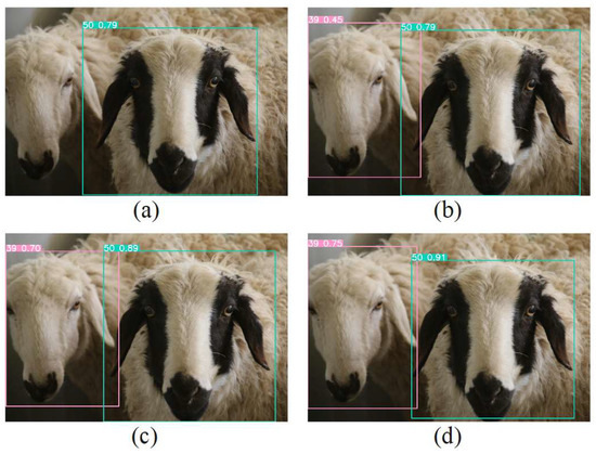 Animals | Free Full-Text | LSR-YOLO: A High-Precision, Lightweight ...