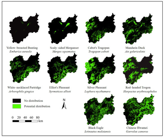 Selection of Flagship Species and Their Use as Umbrellas in Bird ...