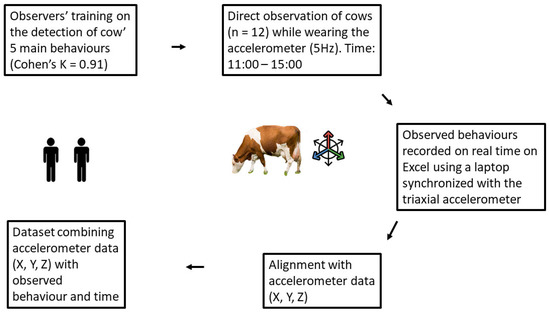 Uncovering Patterns in Dairy Cow Behaviour: A Deep Learning Approach ...