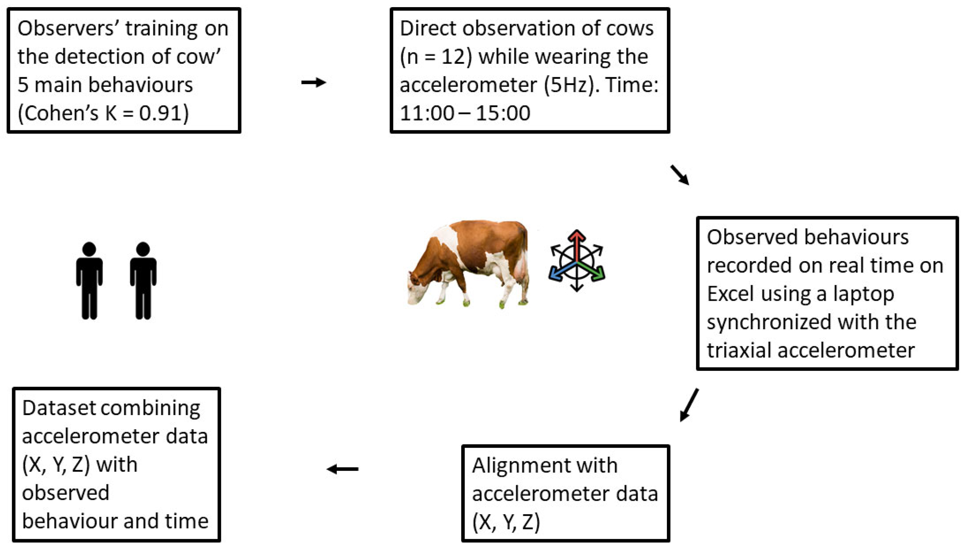 Uncovering Patterns in Dairy Cow Behaviour: A Deep Learning Approach with Tri-Axial ...