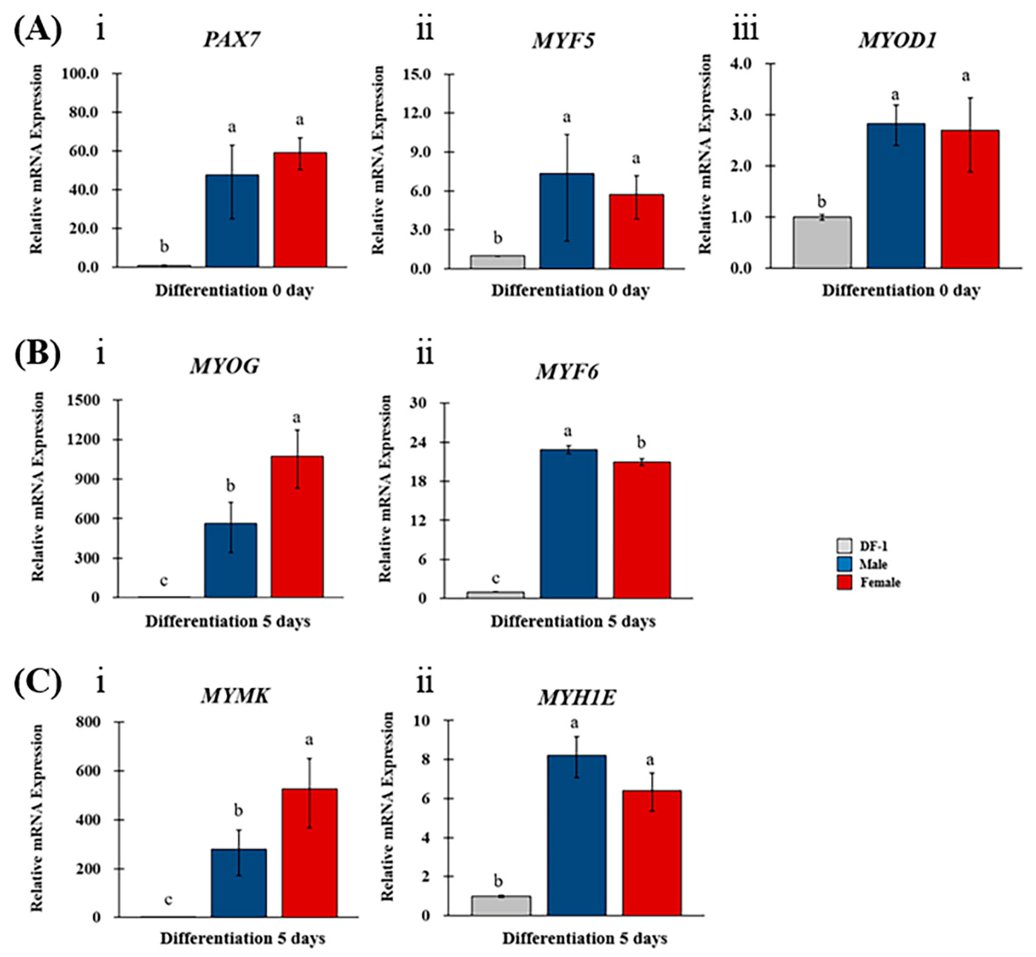 Potential Application of Muscle Precursor Cells from Male Specific ...