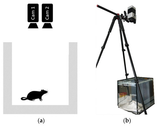Camera-Based Respiration Monitoring of Unconstrained Rodents