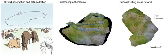 Drone Observation for the Quantitative Study of Complex Multilevel ...